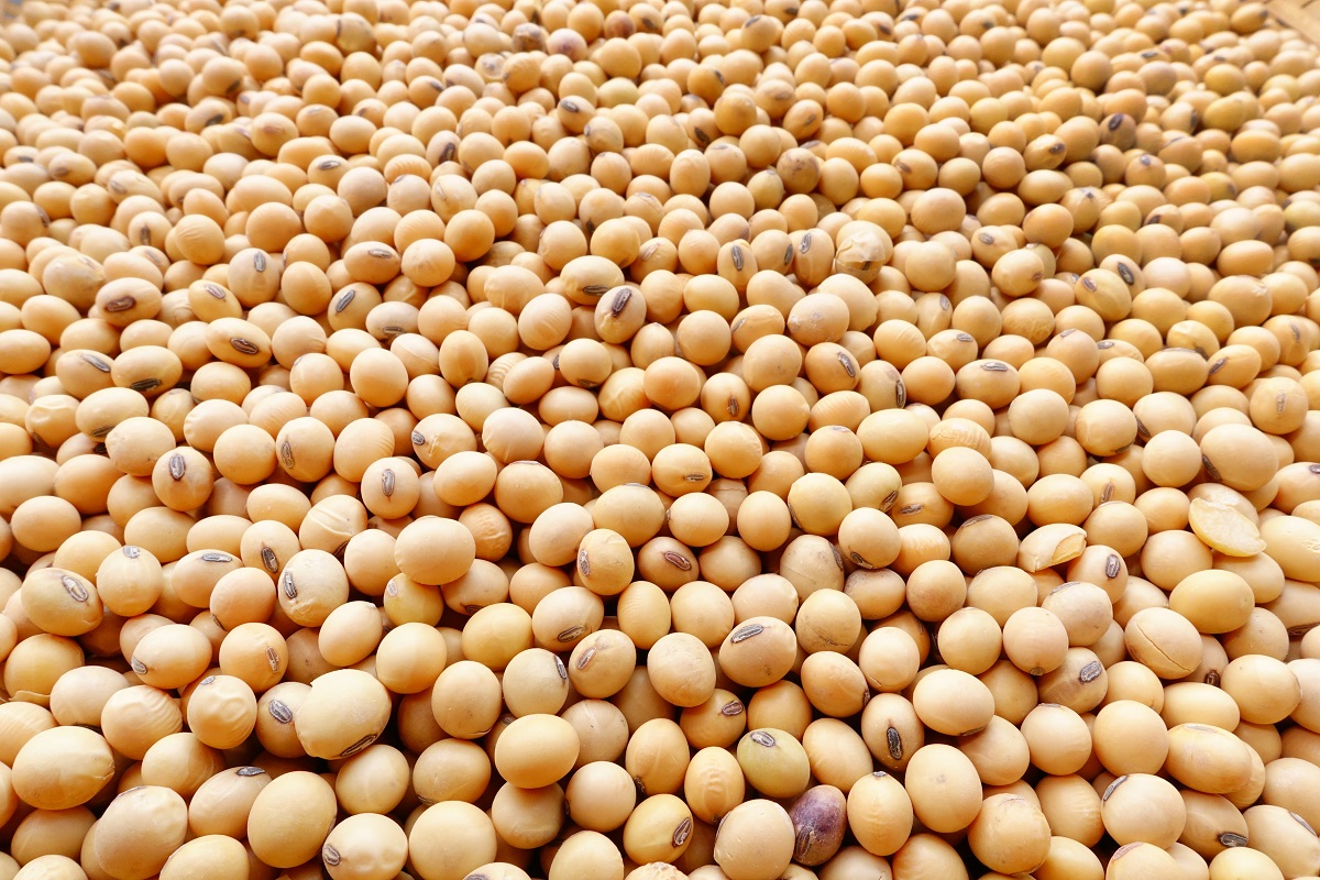 DATAGRO Grãos: commercialization of Brazilian soybeans 2022/23 harvest ...