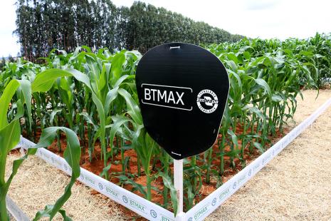 Embrapa and Helix present transgenic corn fully developed in Brazil ...