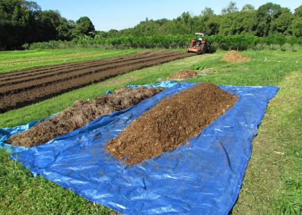 Embrapa: unprecedented system of bioreactors monitors composting ...