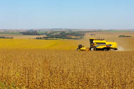 Conab: Brazil should produce the largest grain harvest in history in ...