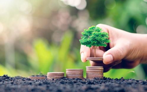 Primeira emissão de títulos verdes do Brasil no mercado internacional ...