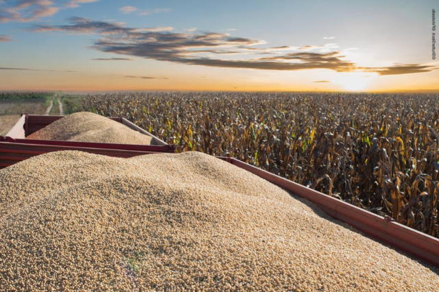 Map publishes soybean sowing calendar for the 2023/2024 harvest - DATAGRO