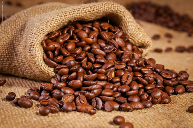 Café de Caldas (MG) is the champion of the Cooxupé 2023 competition ...