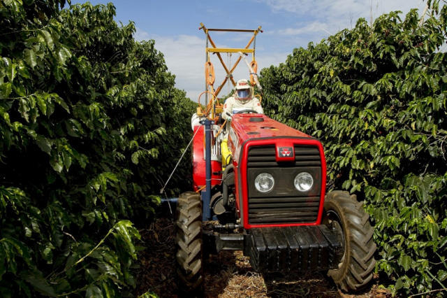 Coffee: high temperatures are leading to a review of the 2022 crop ...