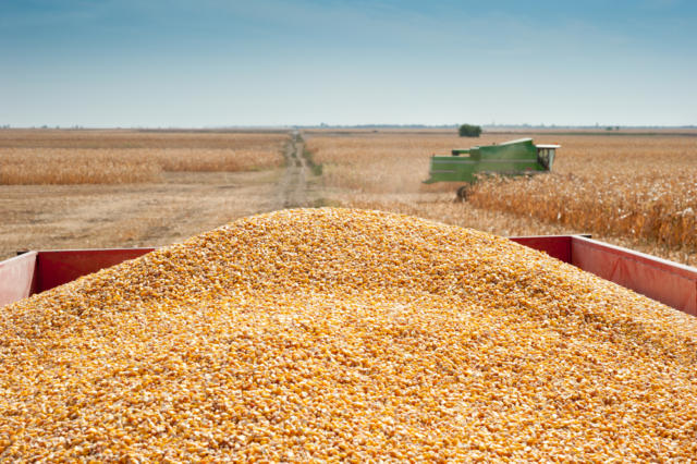 Brazilian corn shipments total 1.335 million tons in March - DATAGRO