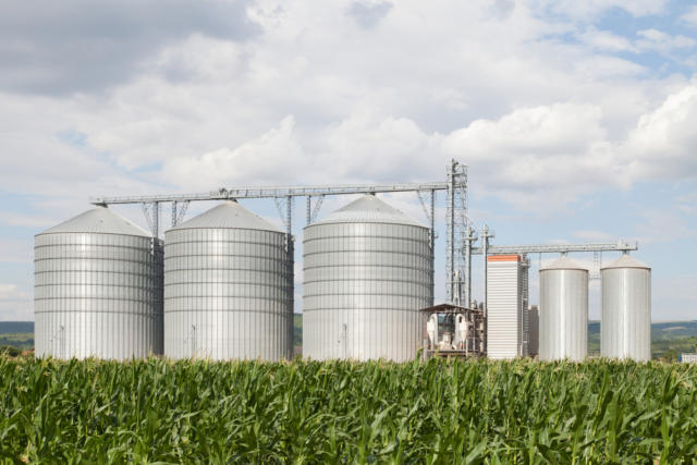 Production costs of milk, pineapple and corn for Pará are updated by ...